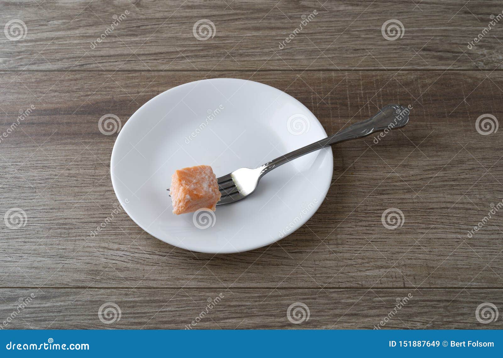 Morsel of Salmon on a White Plate with a Fork Stock Image - Image of ...