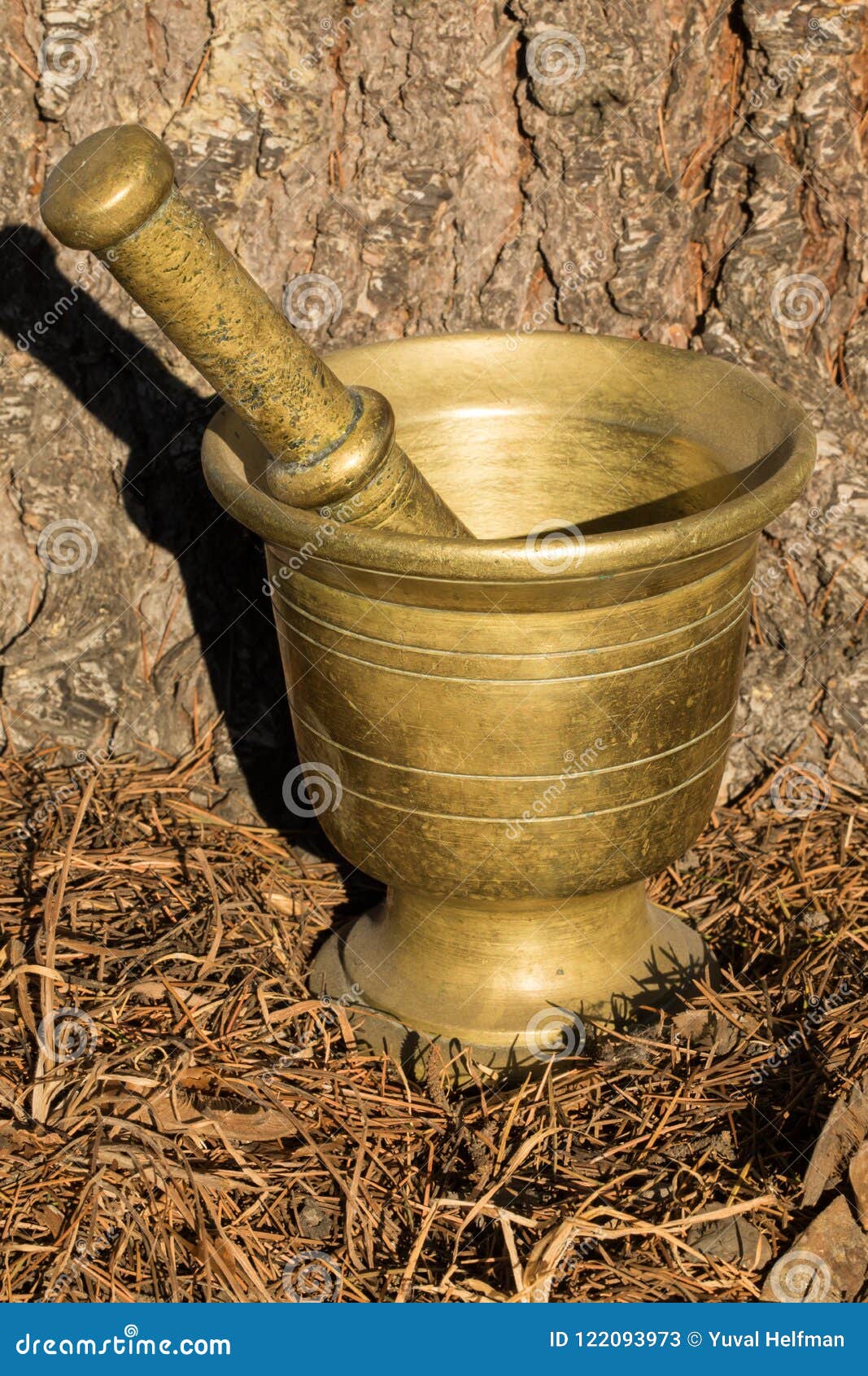 Mortaio E Pestello D'ottone Antichi Immagine Stock - Immagine di ...