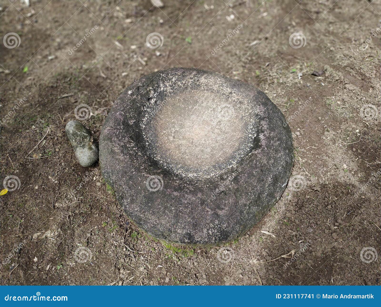 Mortal Stone Pasemah stock image. Image of iron, wildlife - 231117741