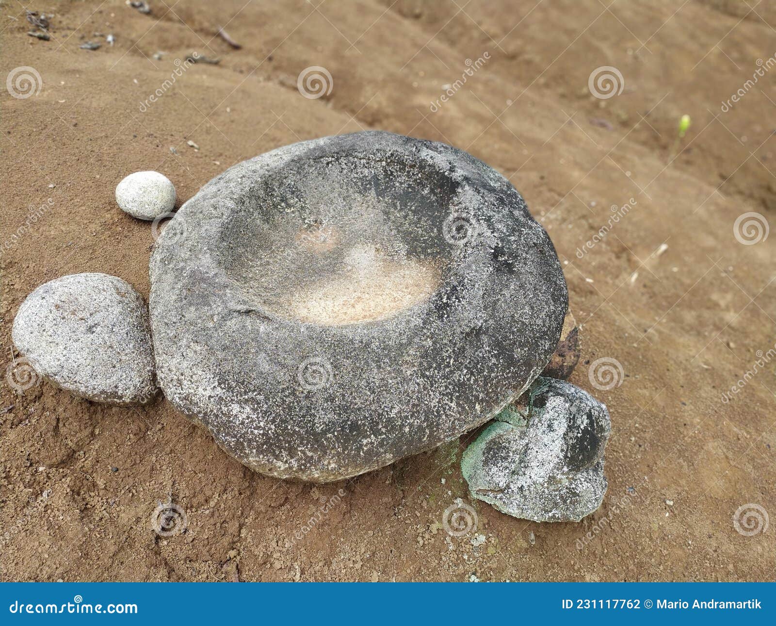 Mortal Stone Pasemah stock photo. Image of leaf, wood - 231117762