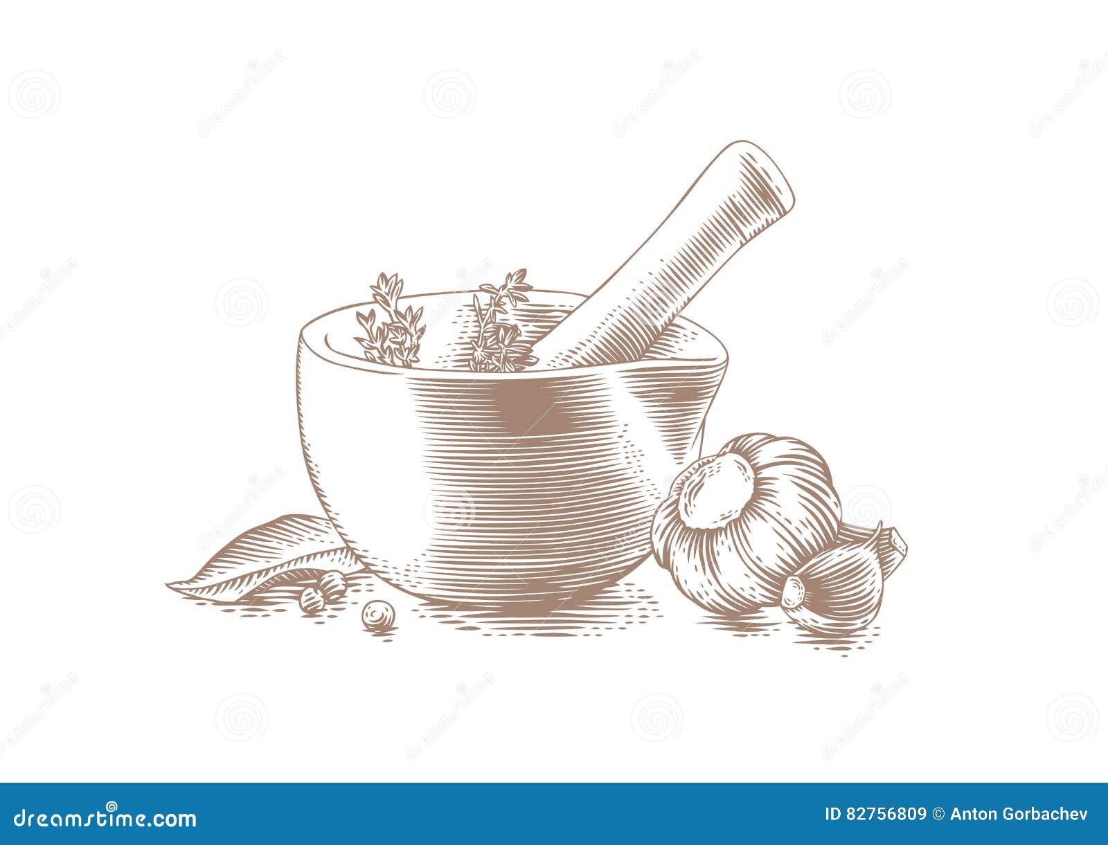 Mortar Bowl And Pestle With Herb Cartoon Vector | CartoonDealer.com ...