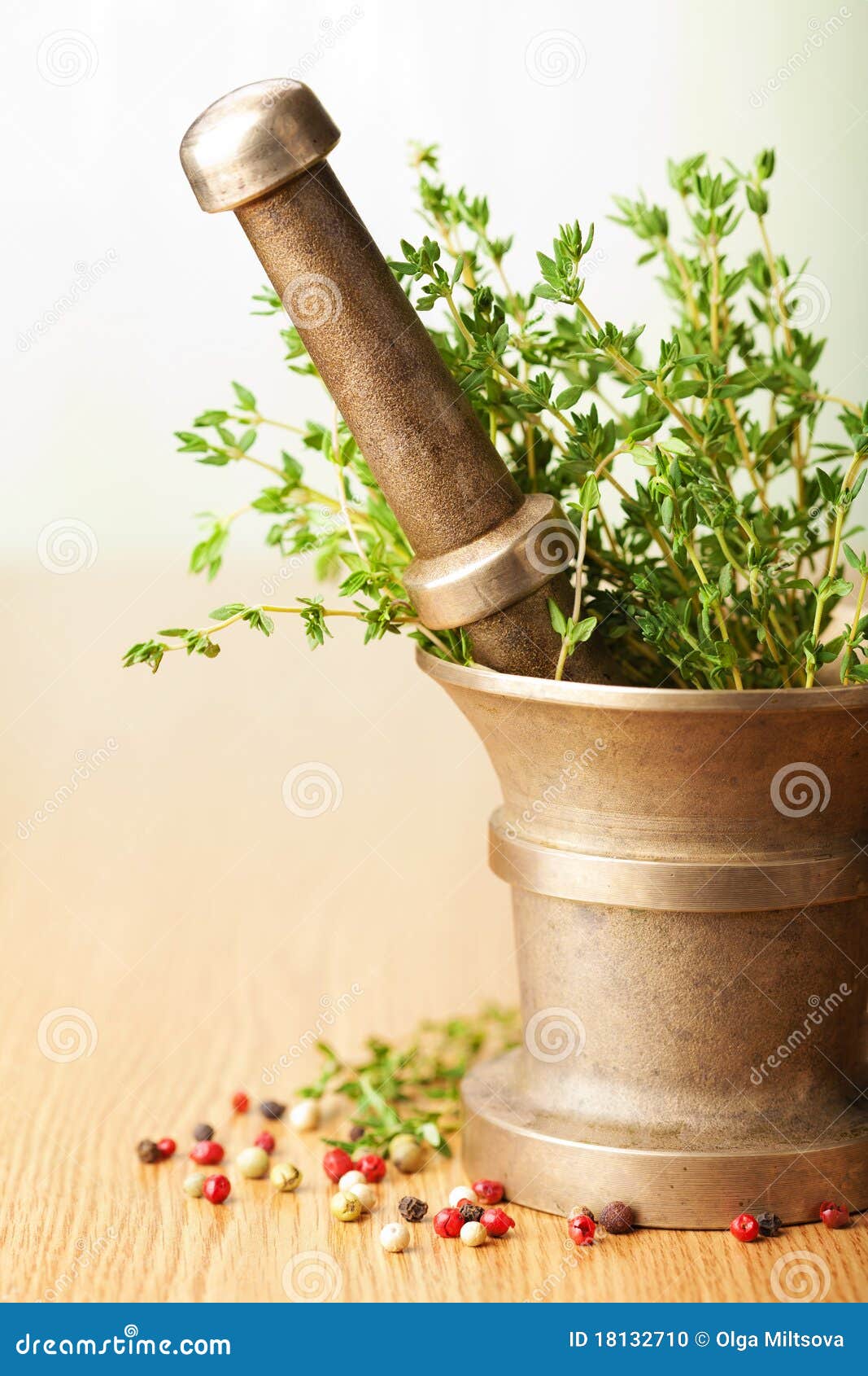 Mortar with herbs stock photo. Image of grind, aromatic - 18132710