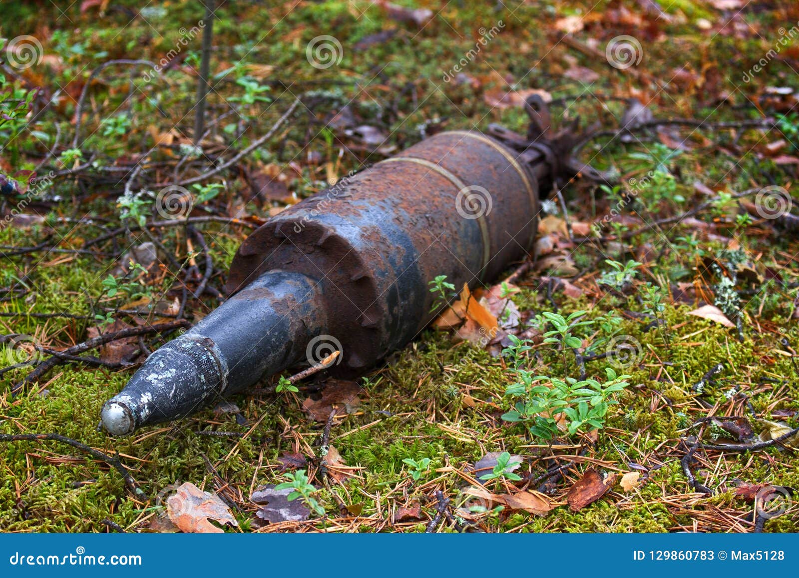 Mortar Shell Found In The Woods Stock Image - Image of arsenal ...