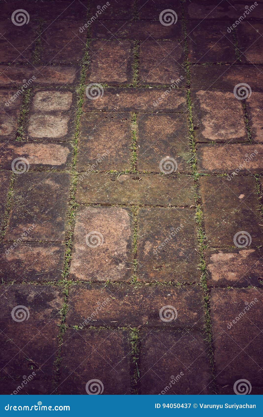 Mortar Tile Background Texture Royalty-Free Stock Photography ...