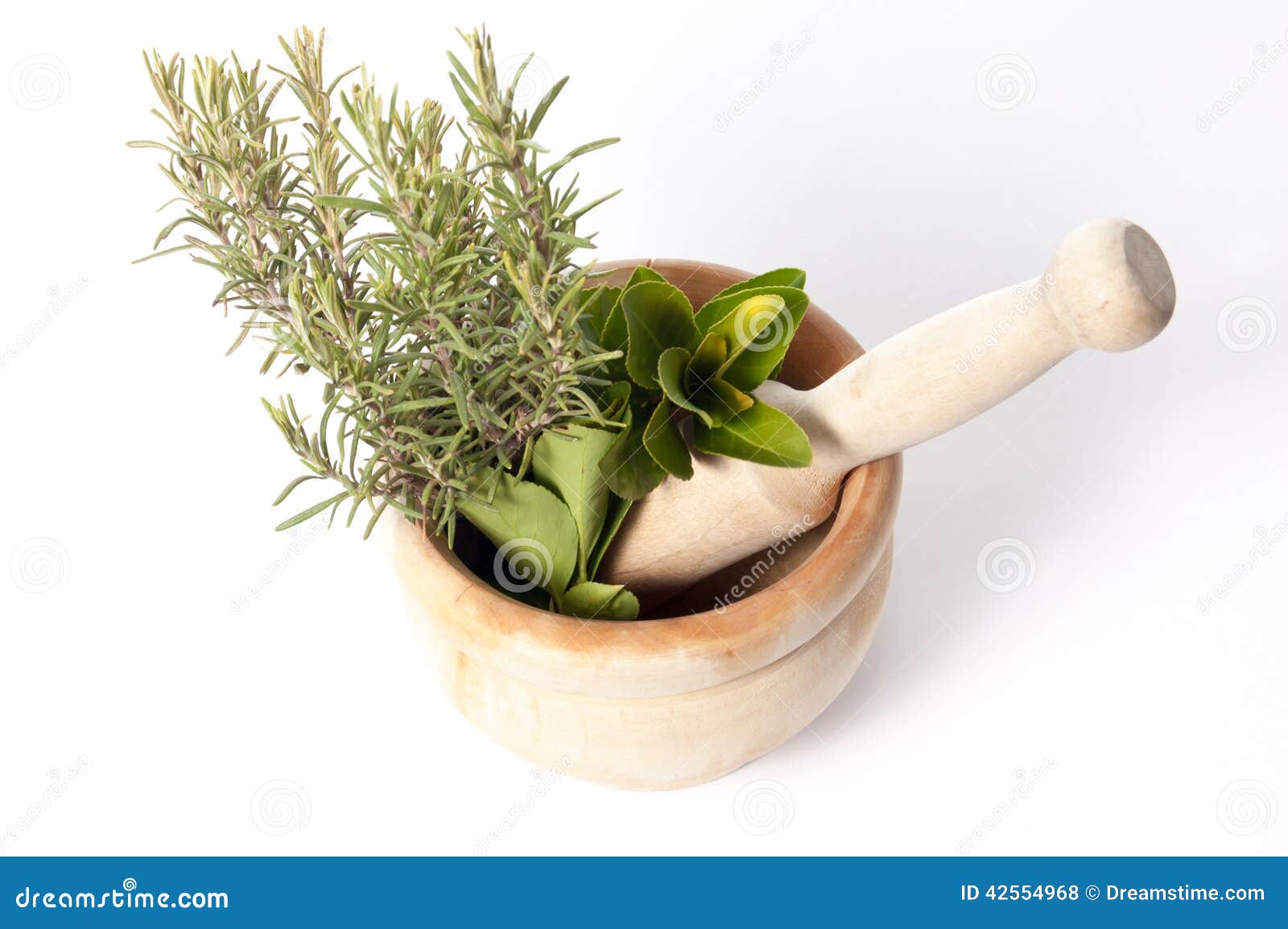 Mortero Por Completo De Plantas Foto de archivo - Imagen de alternativa ...