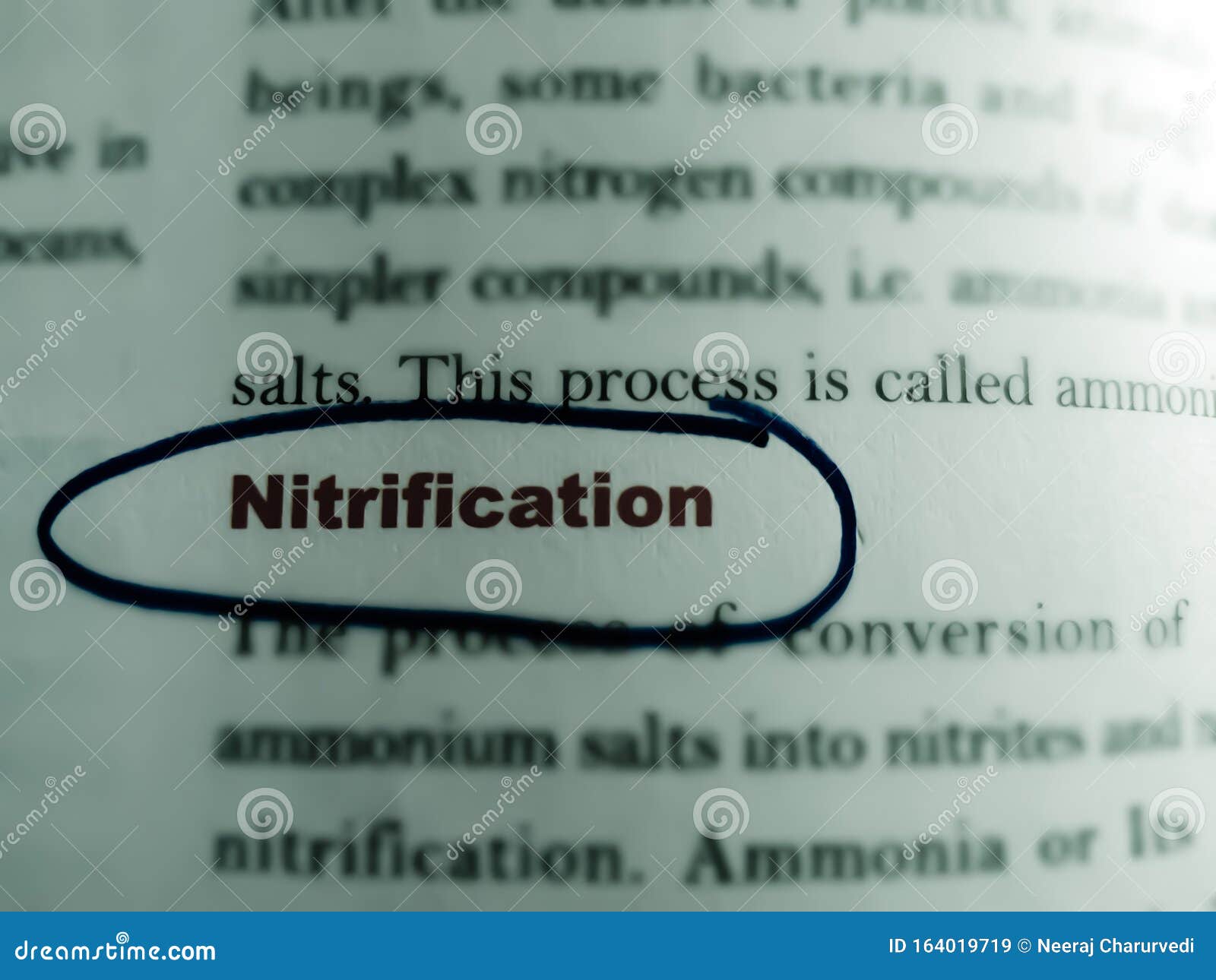 Mortification Science Related Terminology Displayed on Abstract ...