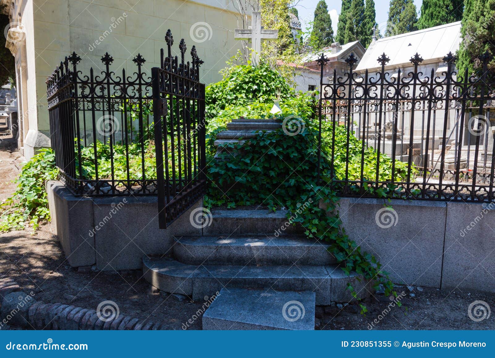 Mortuary Plot with Open Gate Cinnamon and Creepers Occupying it ...