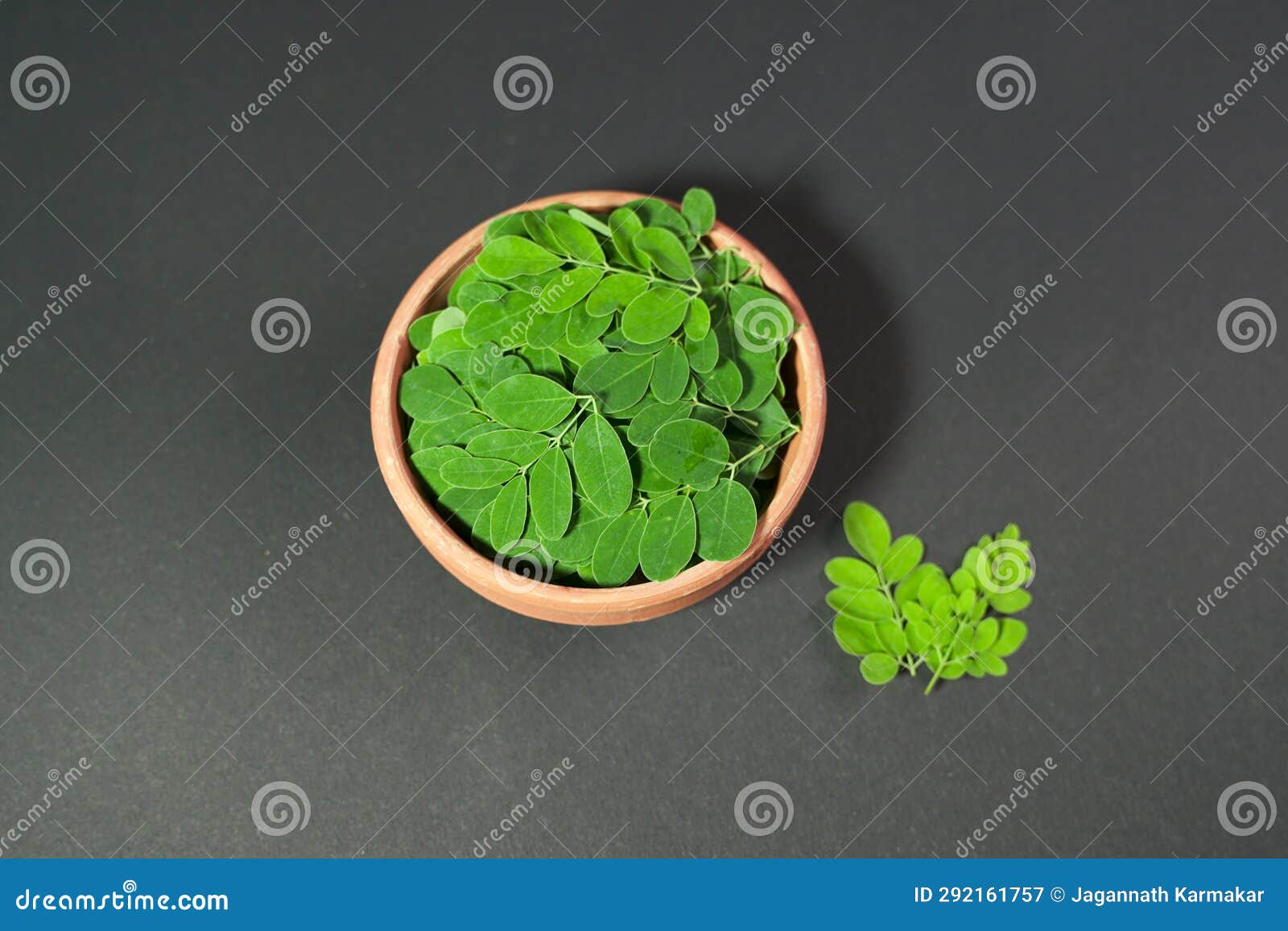 Morunga Leaves is a Very Nutritious Vegetable Food. Stock Image - Image ...