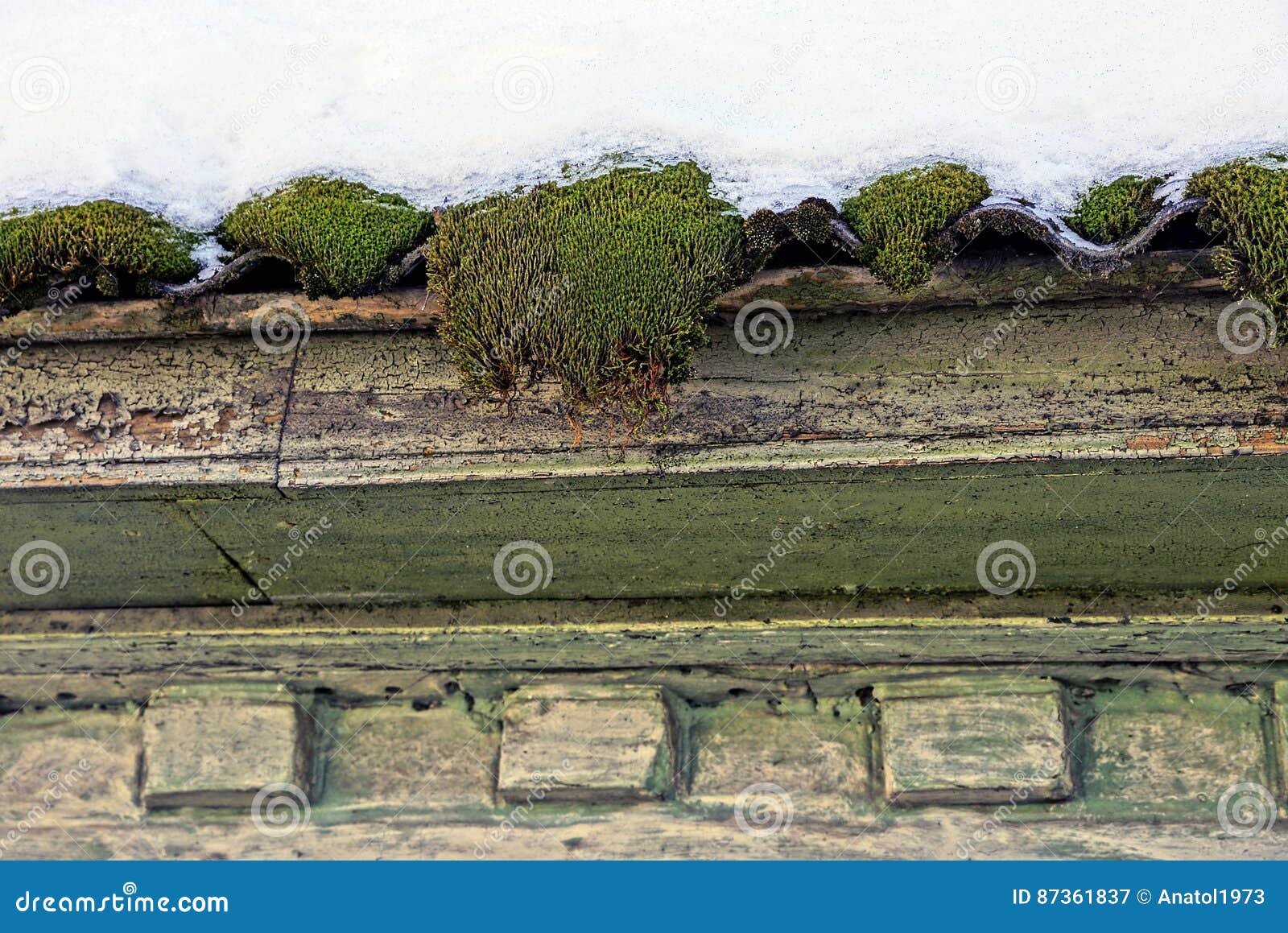 Mos Op De Muur Onder Het Snow-covered Dak Stock Afbeelding - Image of ...