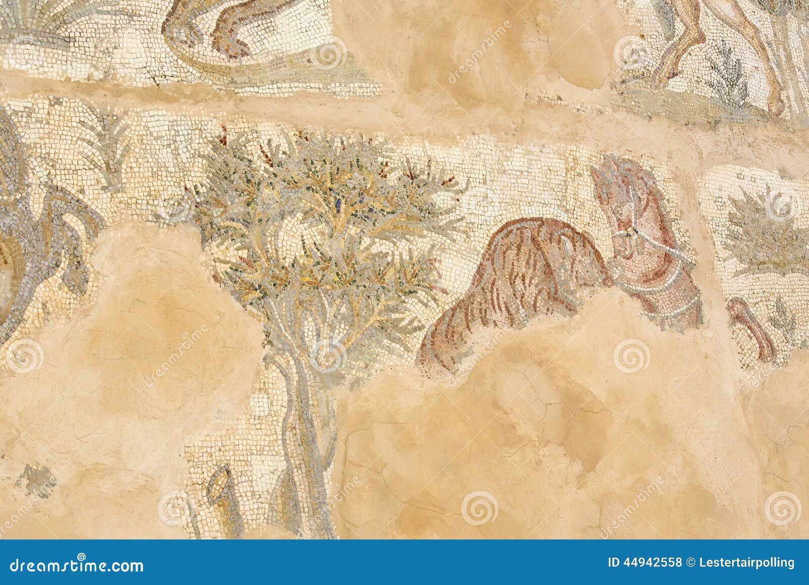 Mosaic of Carthage stock photo. Image of background, geometrical - 44942558