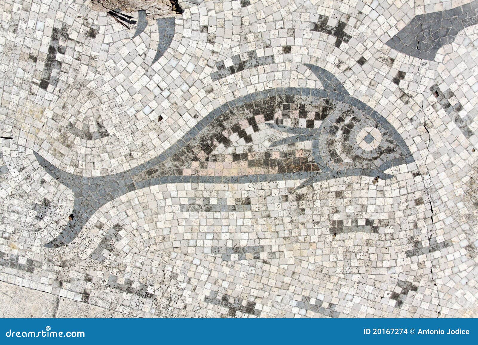 Mosaic Fish stock photo. Image of monument, landmark - 20167274