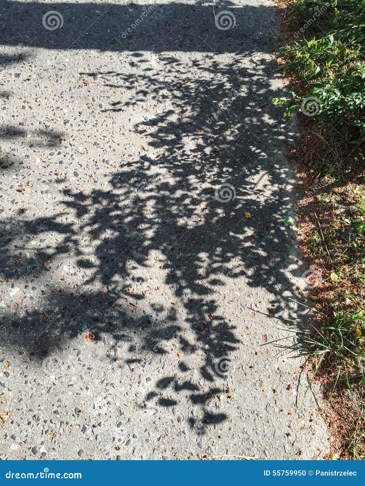Mosaic of Leaves Shadow on a Pavement Stock Photo - Image of city ...