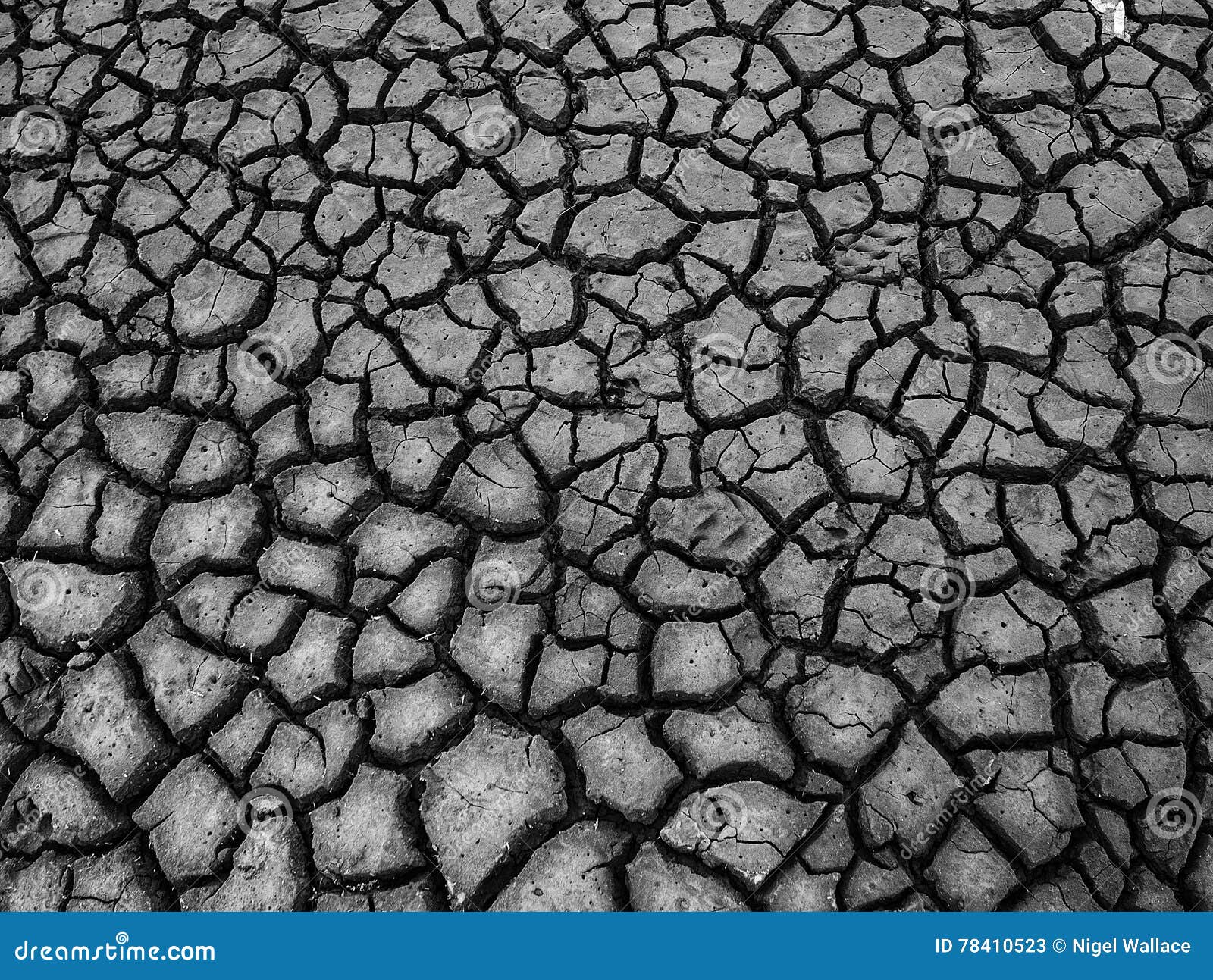 Dried Mud Patterns stock image. Image of vapour, dried - 78410523