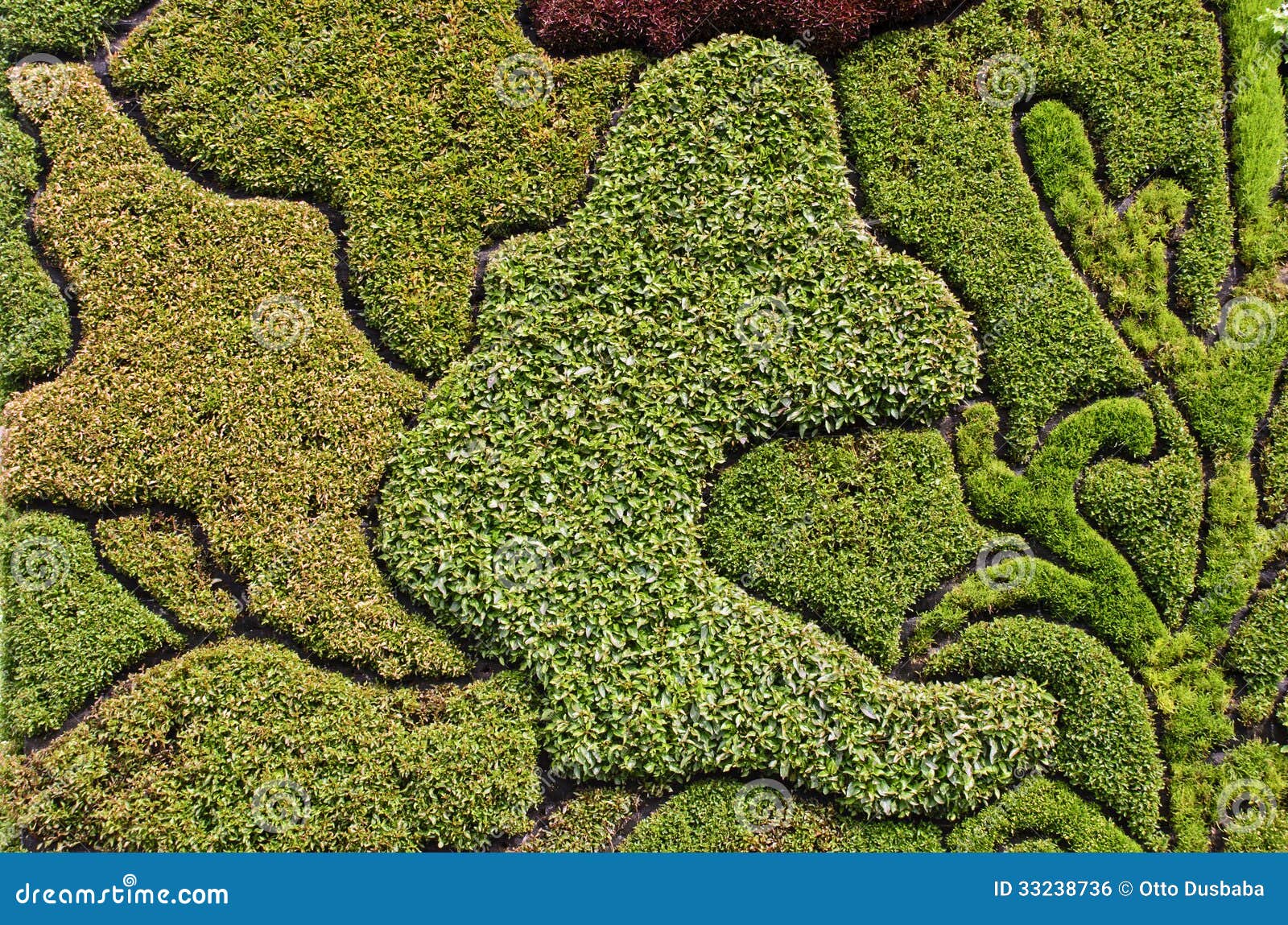 Mosaic Pattern of Different Plants Stock Photo - Image of flora ...