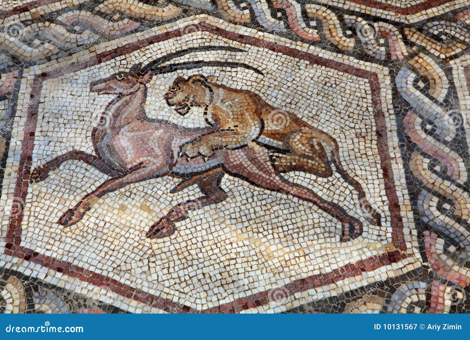 Mosaico Romano Fotografía de archivo libre de regalías - Imagen: 10131567