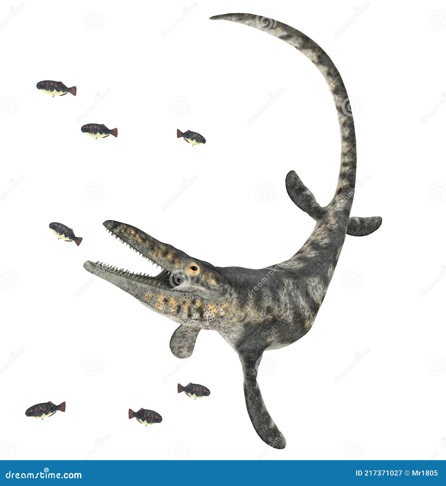 Mosasaur Tylosaurus Isolated on White Background Stock Illustration ...