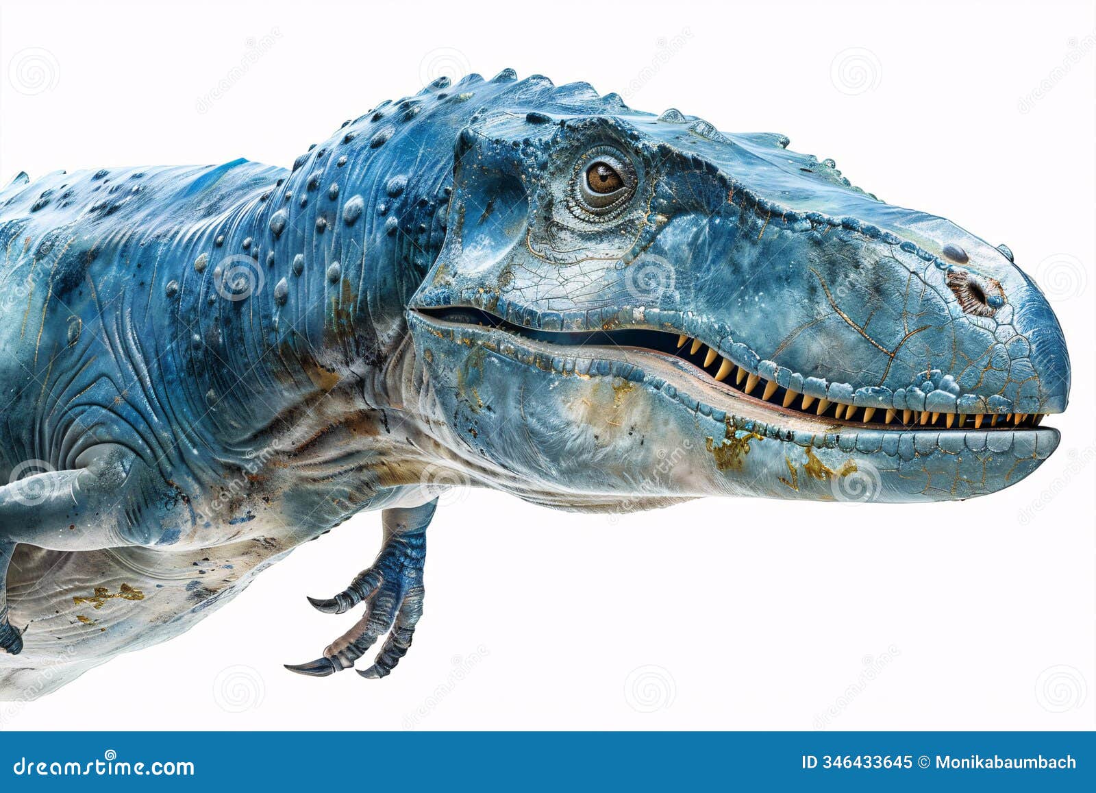 Mosasaurus Dinosaur Swimming on White Background Stock Illustration ...