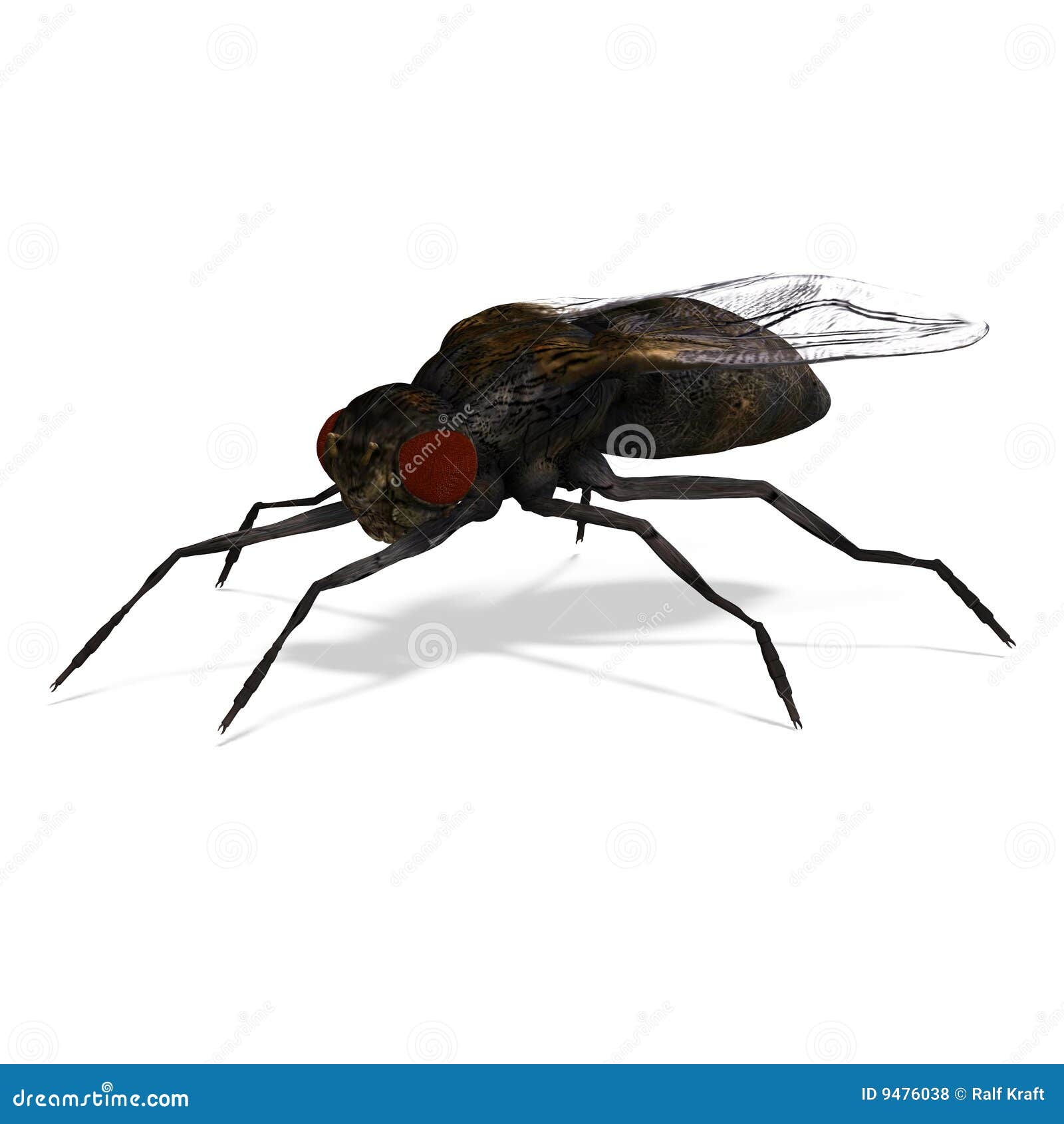 Mosca stock de ilustración. Ilustración de objeto, insecto - 9476038