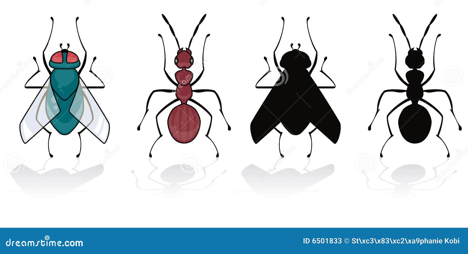 Mosca e formiga ilustração do vetor. Ilustração de inseto - 6501833