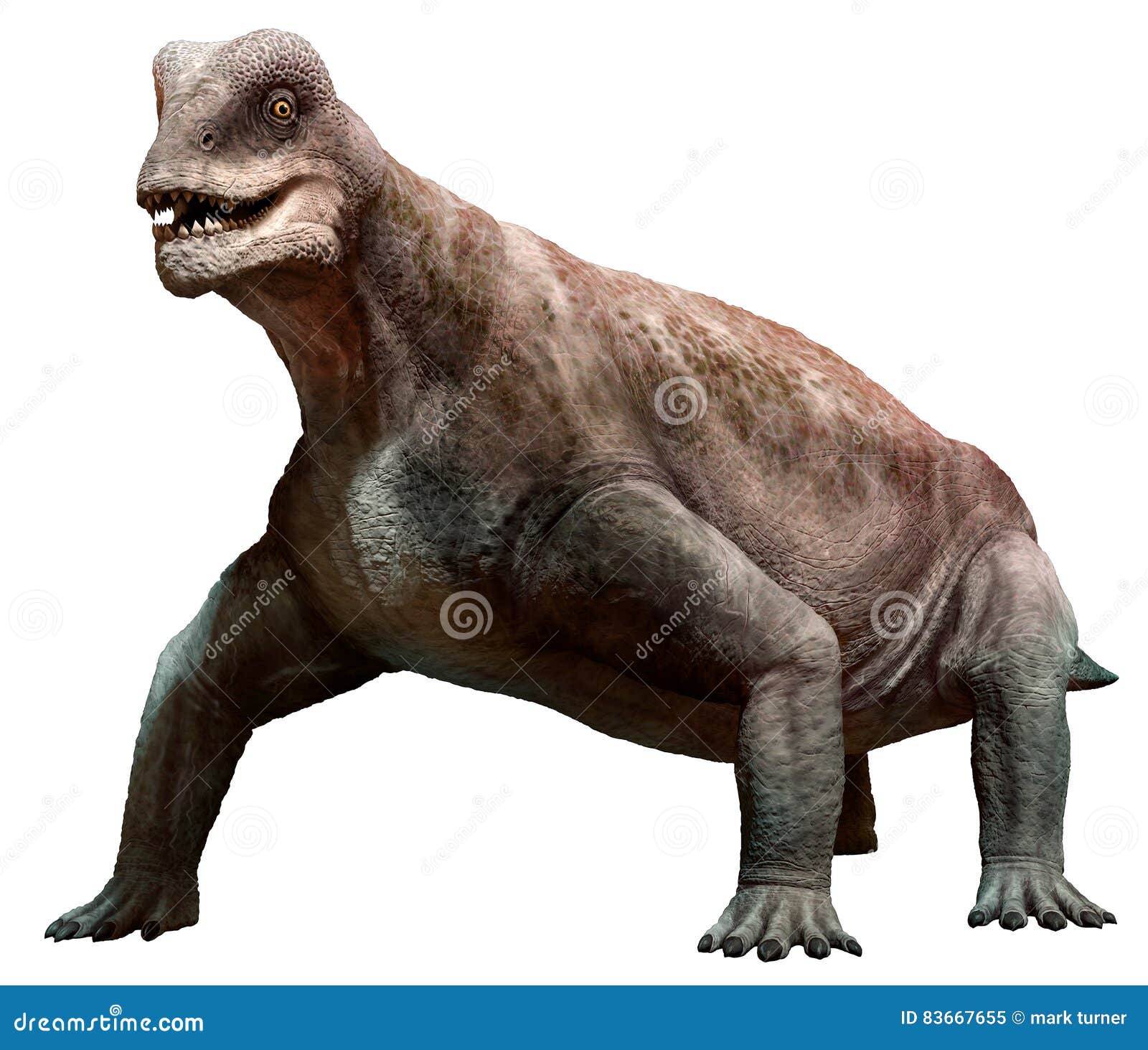 Moschops stock illustration. Illustration of moschops - 83667655