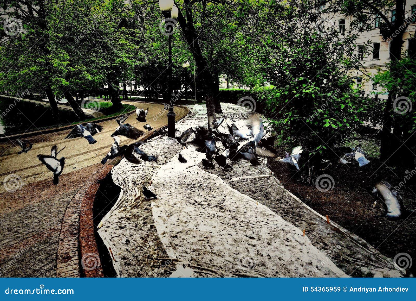 Moscow stock image. Image of birds, moscow, nice, beautiful - 54365959