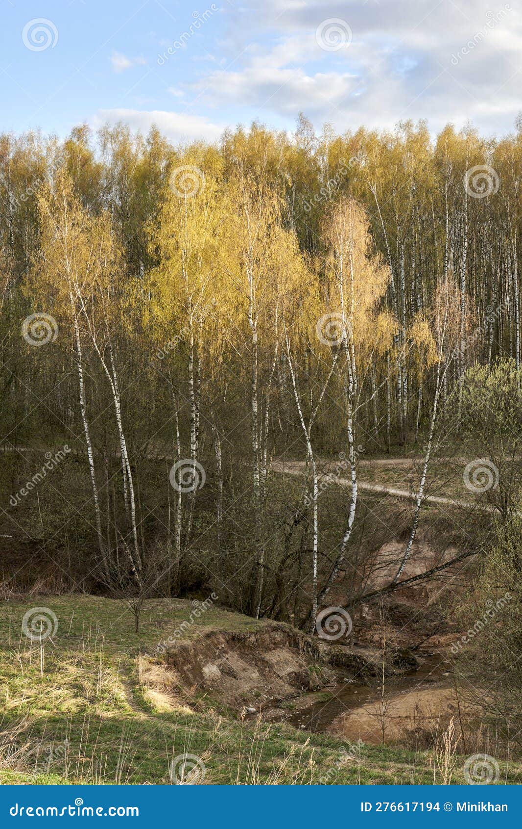 The verdant slopes stock photo. Image of verdant, autumn - 276617194