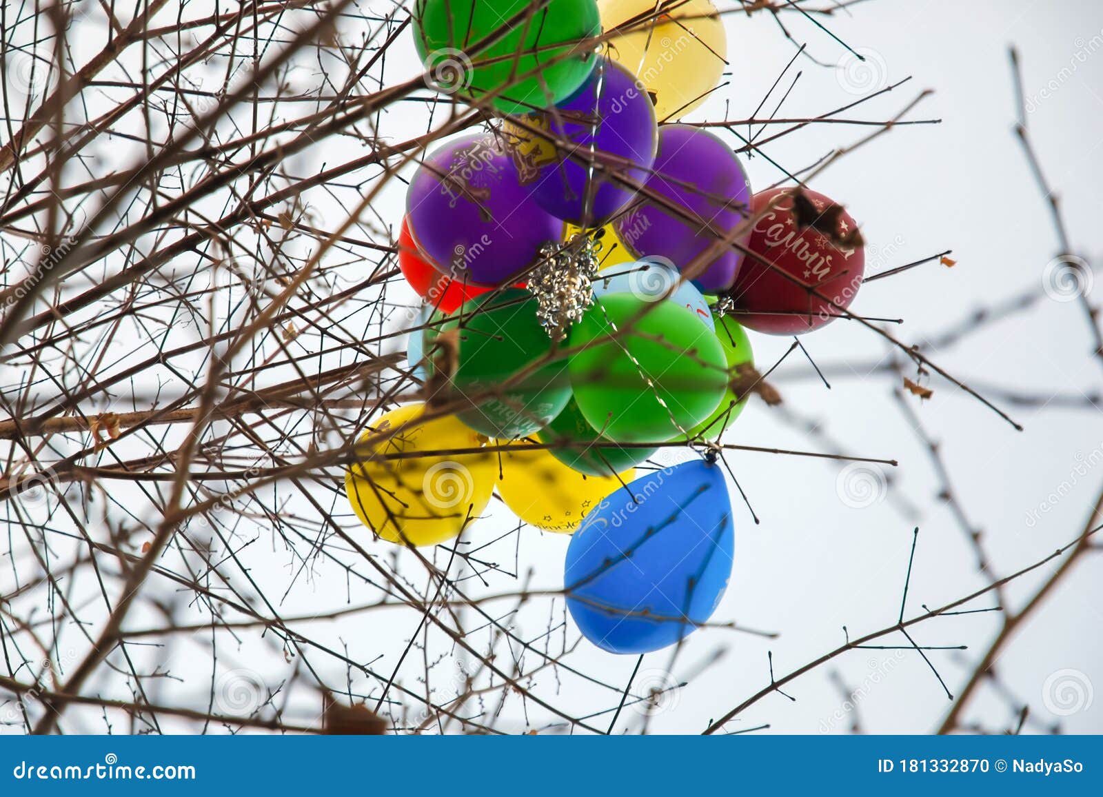 Multicolored Balloons Stuck in Tree Branches Stock Photo - Image of ...