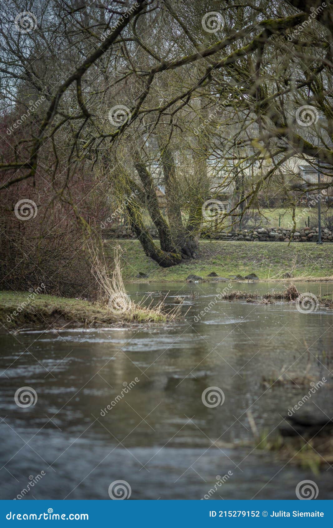 Mosedis Photos - Free & Royalty-Free Stock Photos from Dreamstime