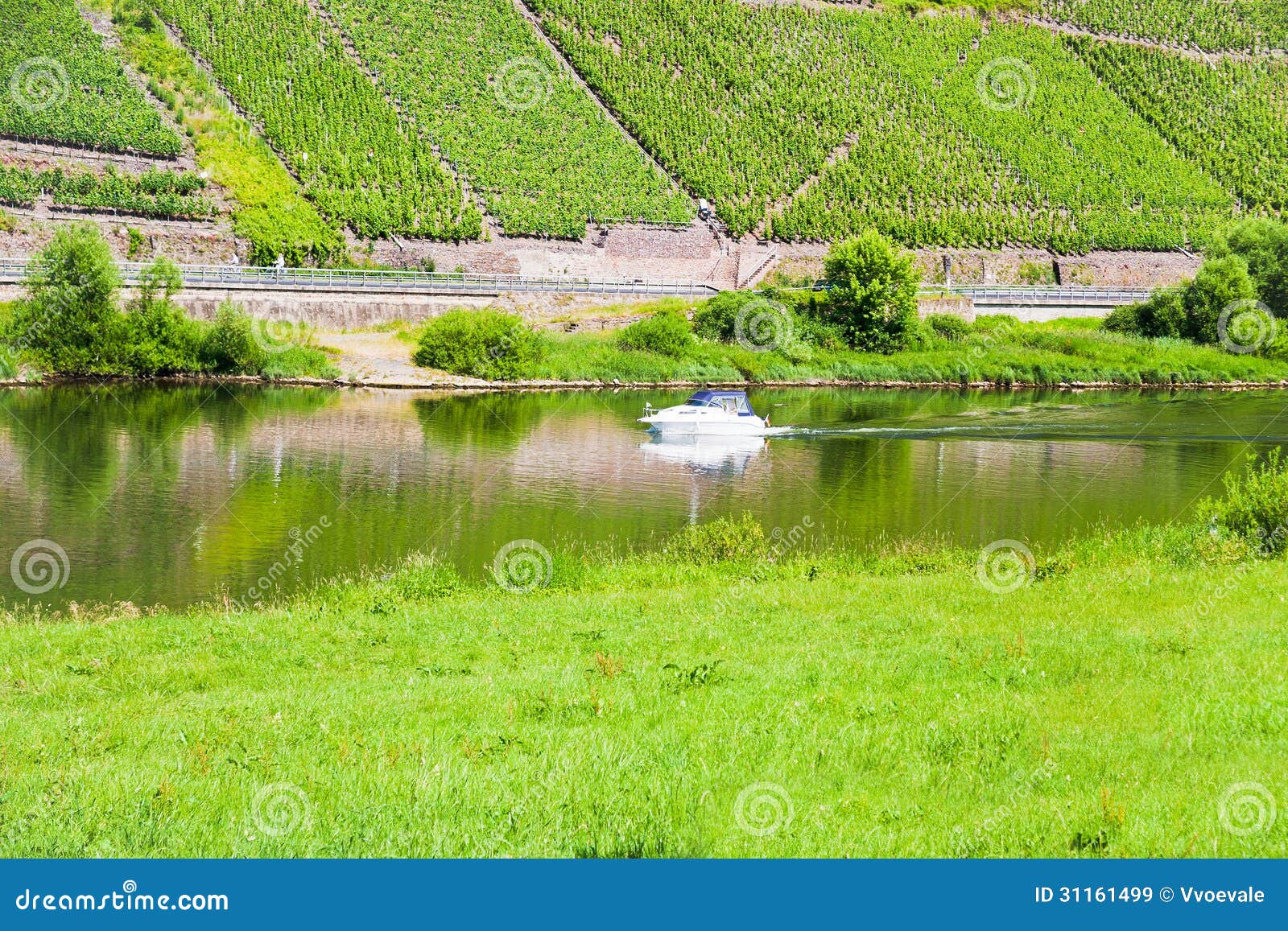 Mosel-Fluss und -weinberge stockbild. Bild von senke - 31161499