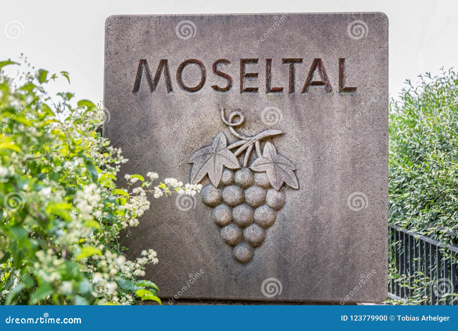 Mosel Valley sign germany stock photo. Image of green - 123779900