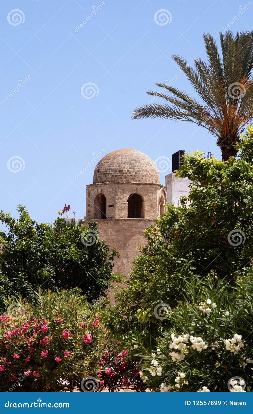 Moskee stock afbeelding. Image of installatie, beroemd - 12557899