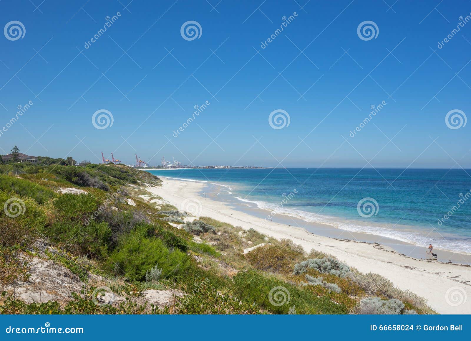 Mosman Park beach stock photo. Image of park, cottesloe - 66658024