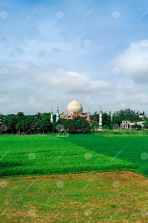 Mosque Against the Background of Rice Field Stock Photo - Image of ...