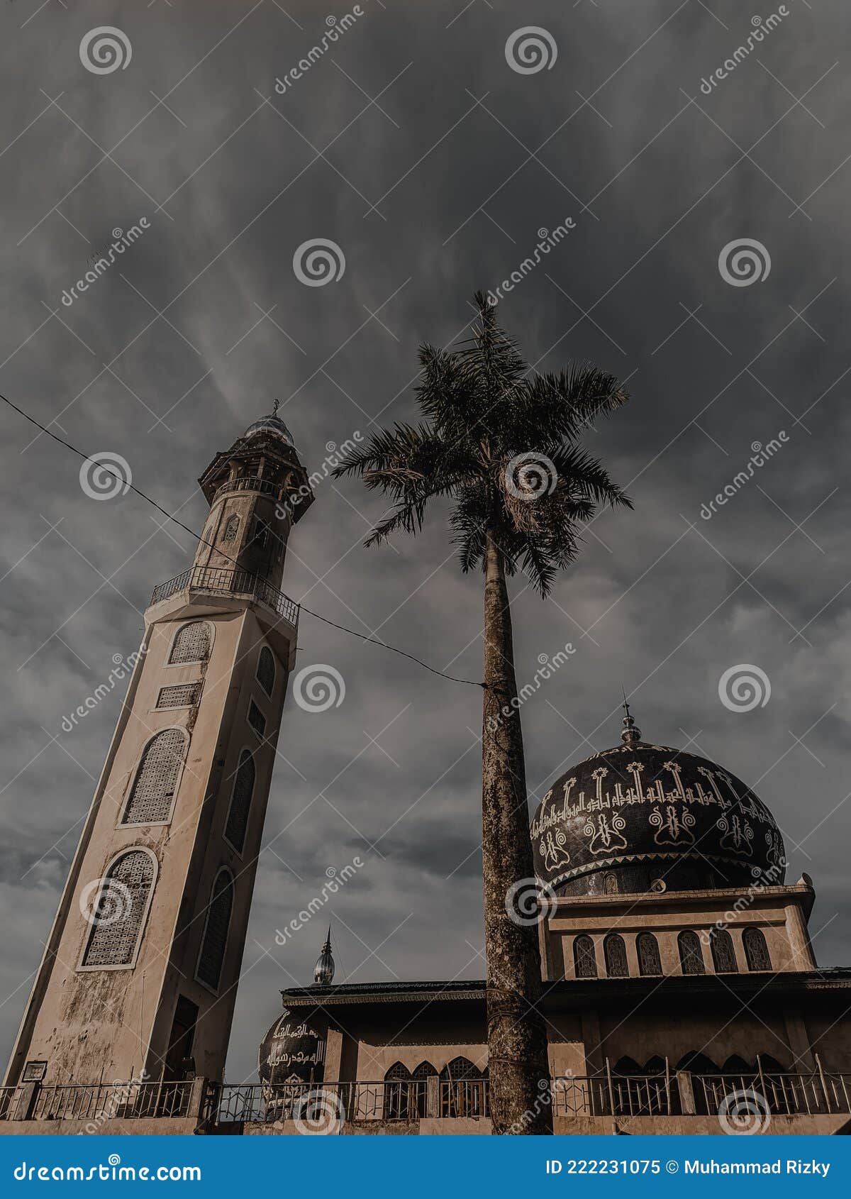 Mosque arabian palm stock image. Image of cathedral - 222231075