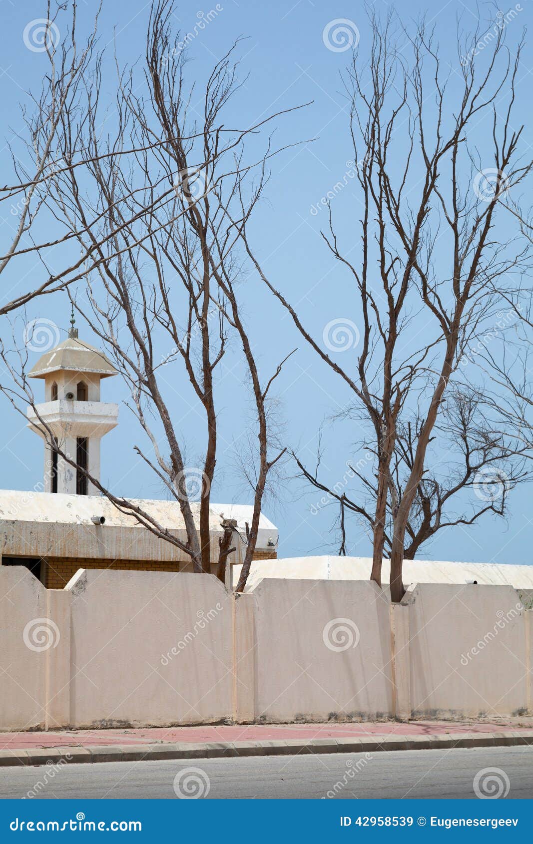 Mosque and Dry Trees in Saudi Arabia Stock Image - Image of tanura ...