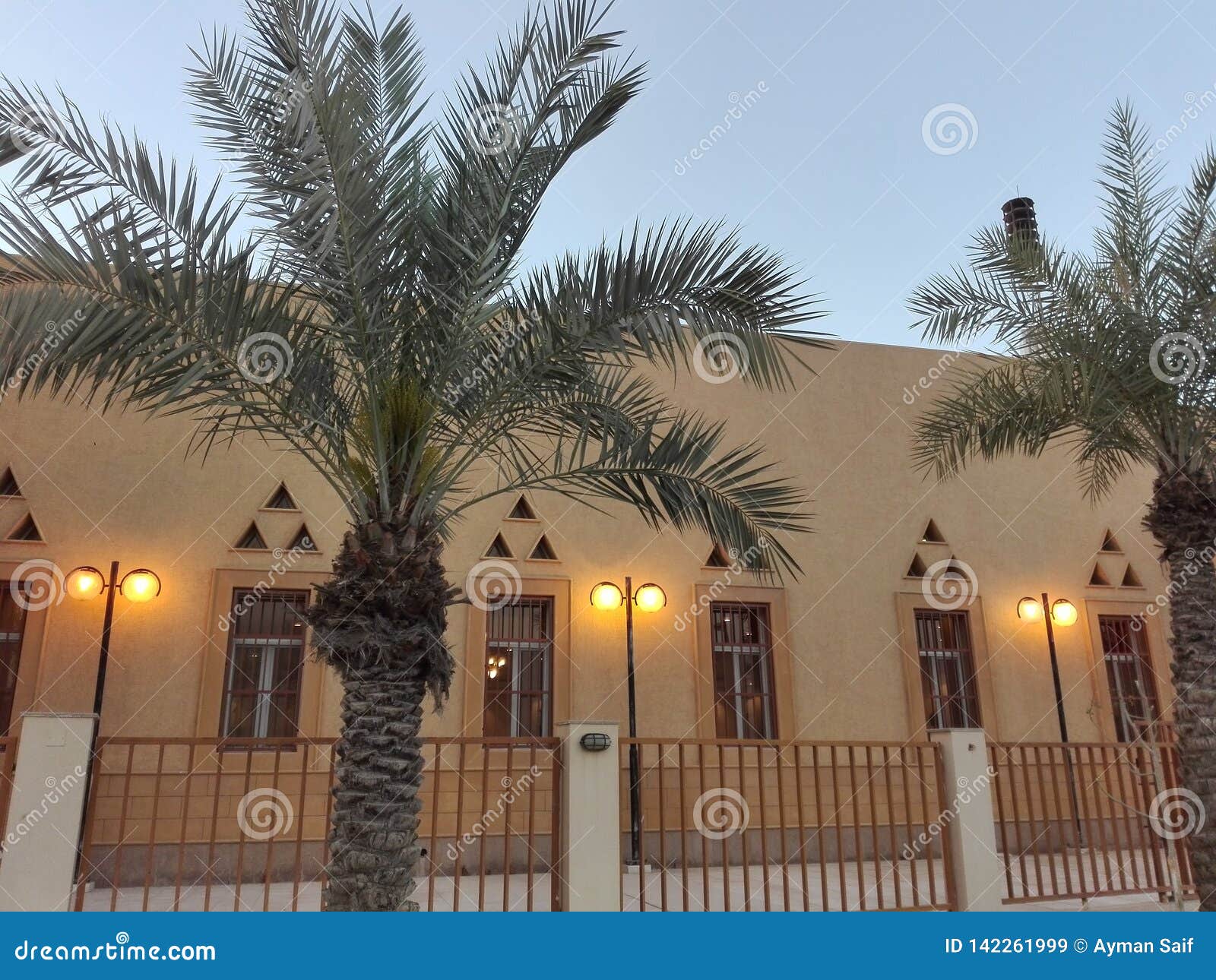 Mosque Exterior with Different Windows , Palm Trees at Dusk Stock Image ...