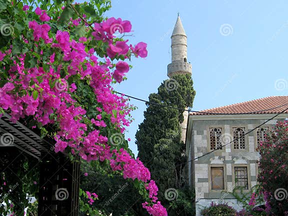The Mosque and the Flowers stock photo. Image of travel - 212210
