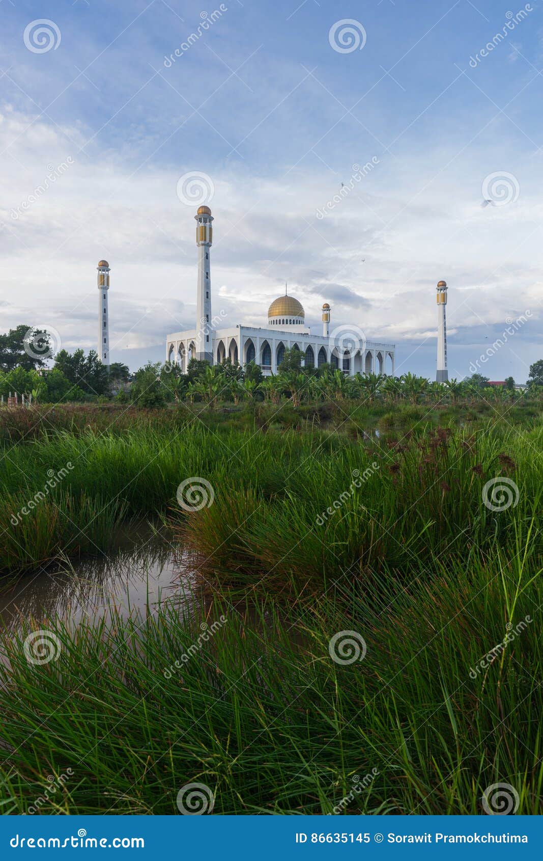 The mosque stock image. Image of night, arab, manama - 86635145