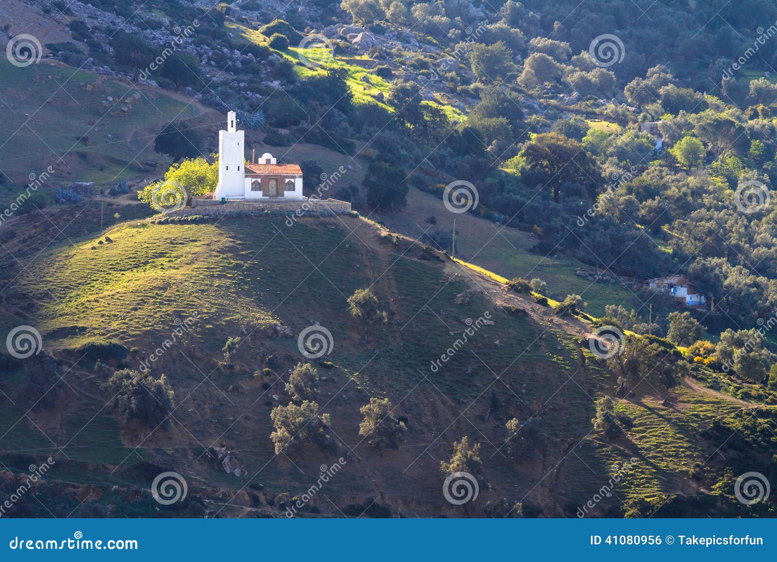 Mosque on the hill stock photo. Image of green, view - 41080956