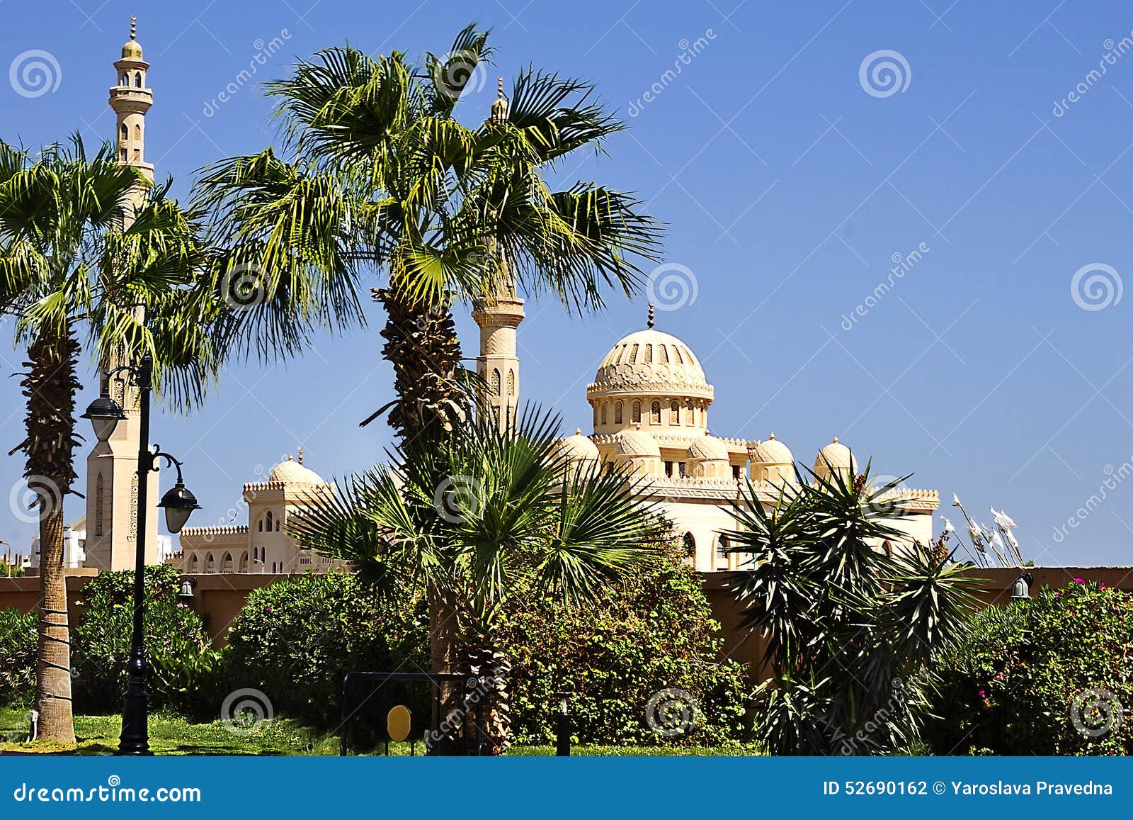 Royalty Free Images, Cartoons, Illustrations And Photos Designed By ...