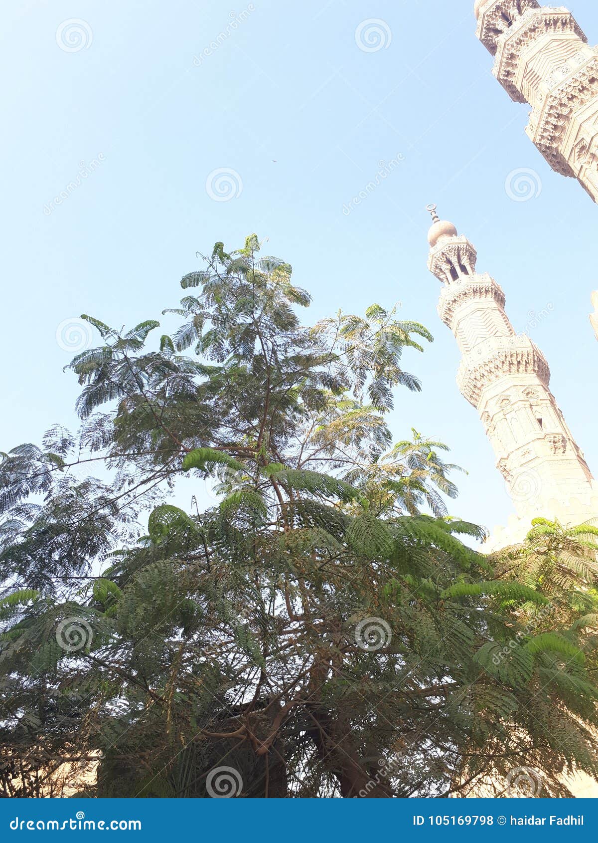 Mosque and leaves stock photo. Image of trees, mosque - 105169798