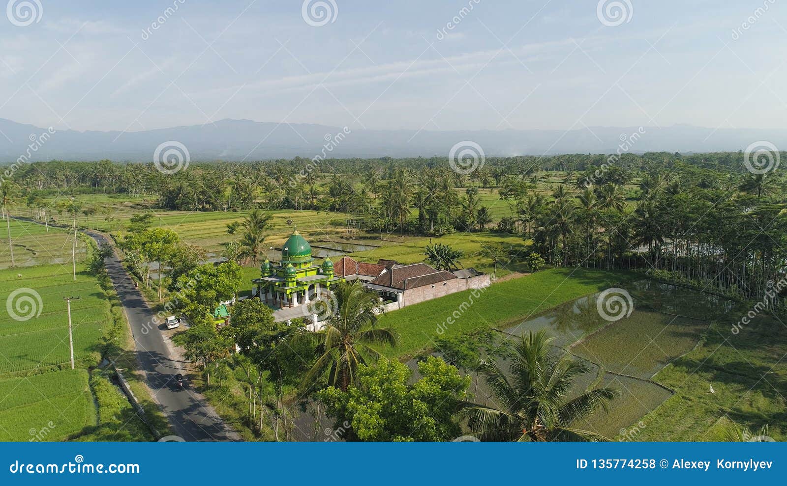 Mosque among Rice Fields Java Indonesia Stock Photo - Image of terrace ...