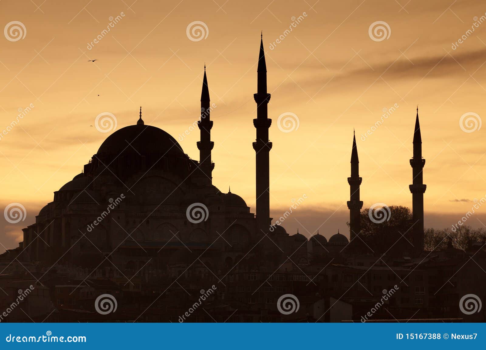 Mosque Silhouette Stock Photography | CartoonDealer.com #28410776