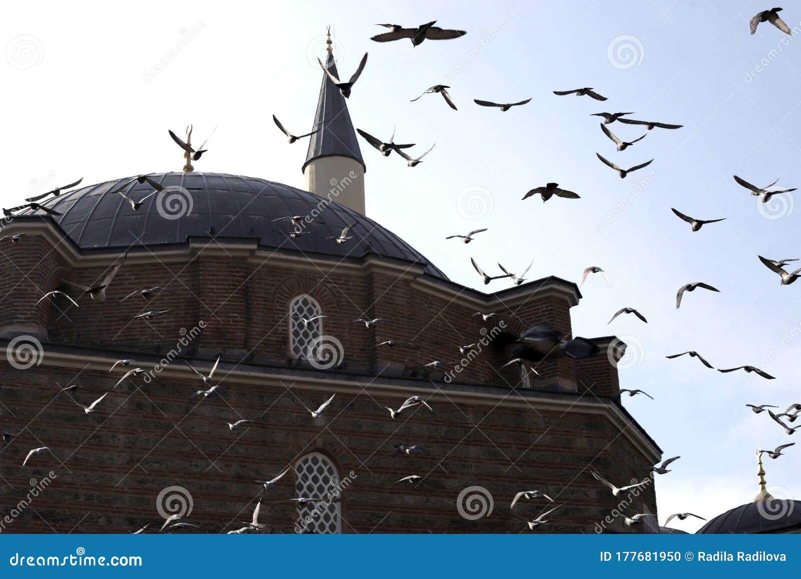 A Mosque Surrounded by Flying Pigeons Stock Photo - Image of culture ...