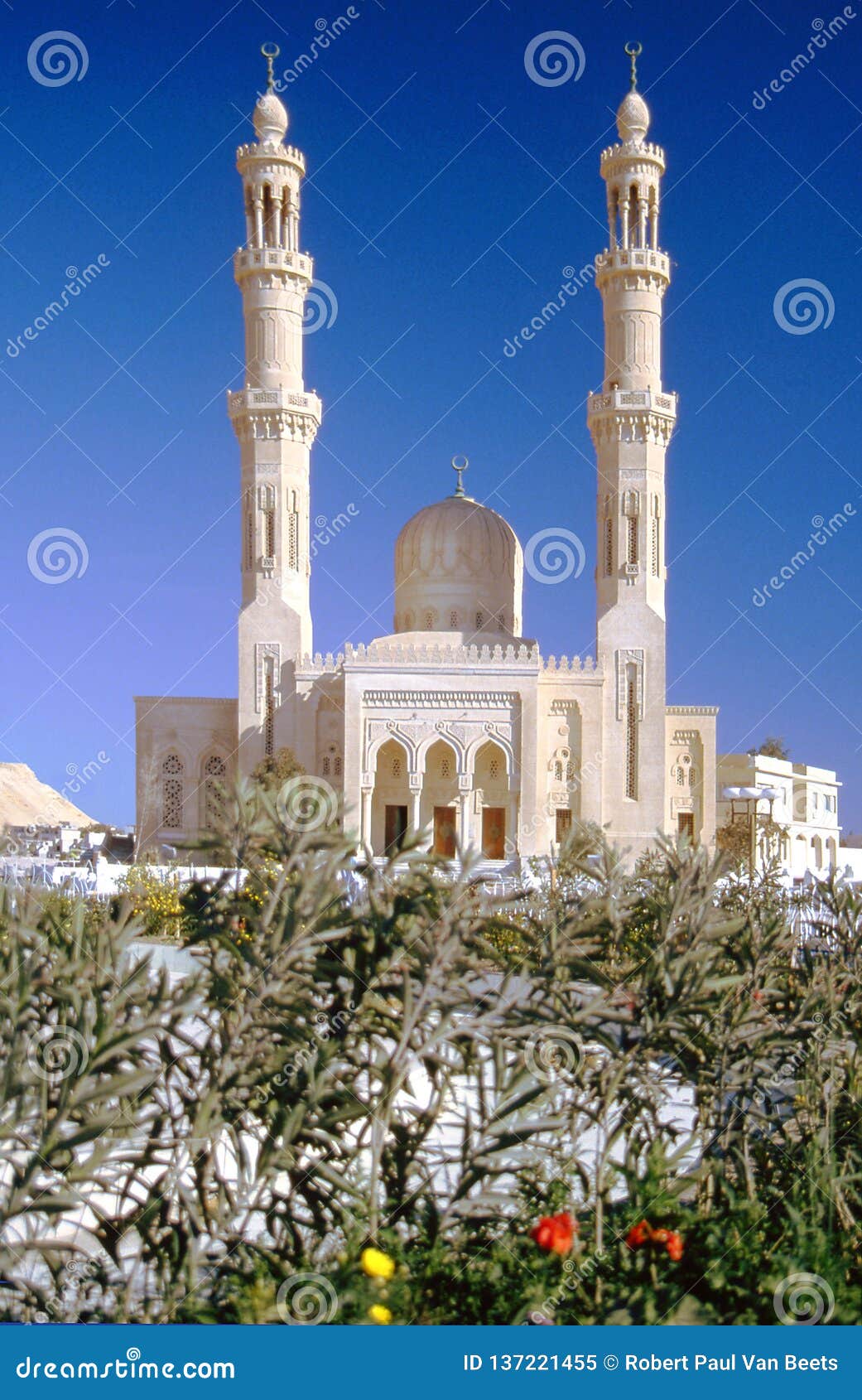 Mosque in Hurghada, Egypt stock image. Image of hurghada - 137221455