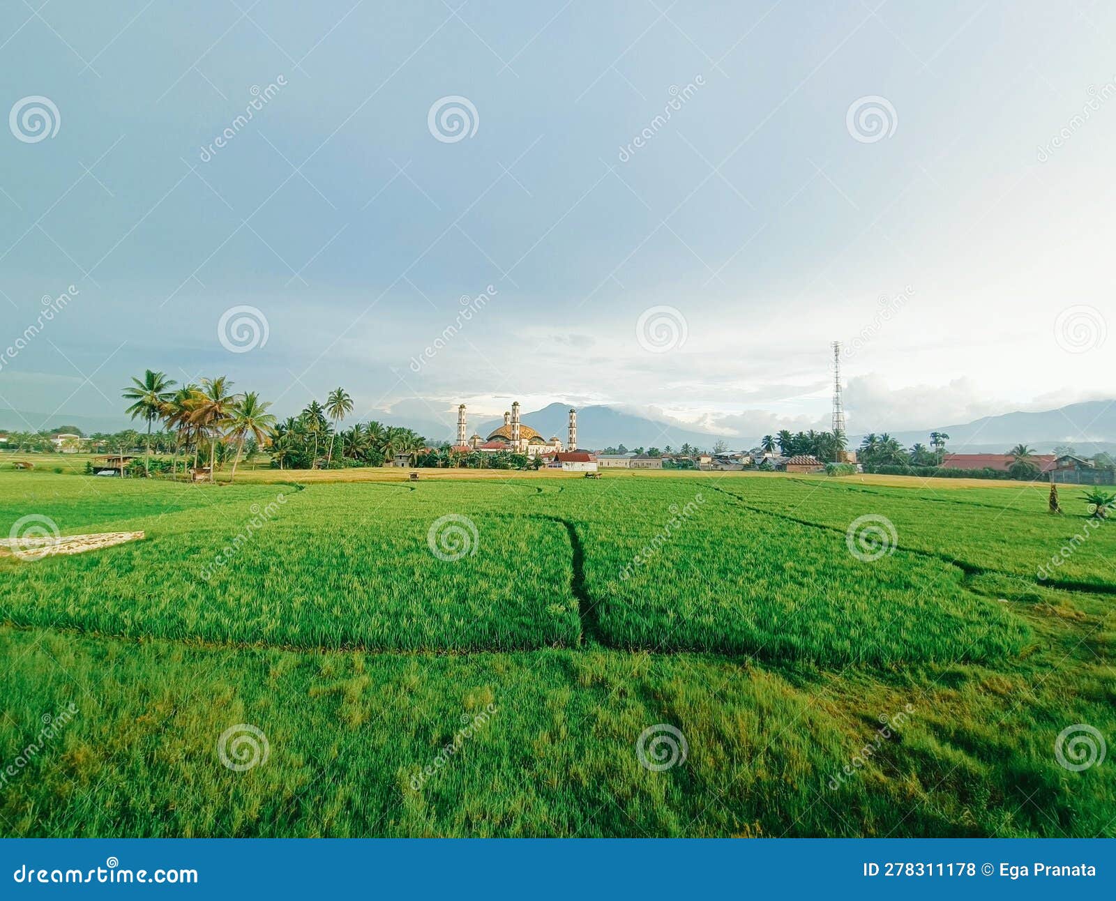 A Mosque Which is a Place of Worship for Muslims is in the Middle of a ...