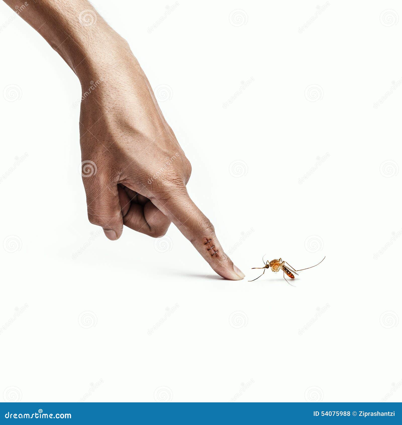 Mosquito bite on finger stock photo. Image of fever, life - 54075988