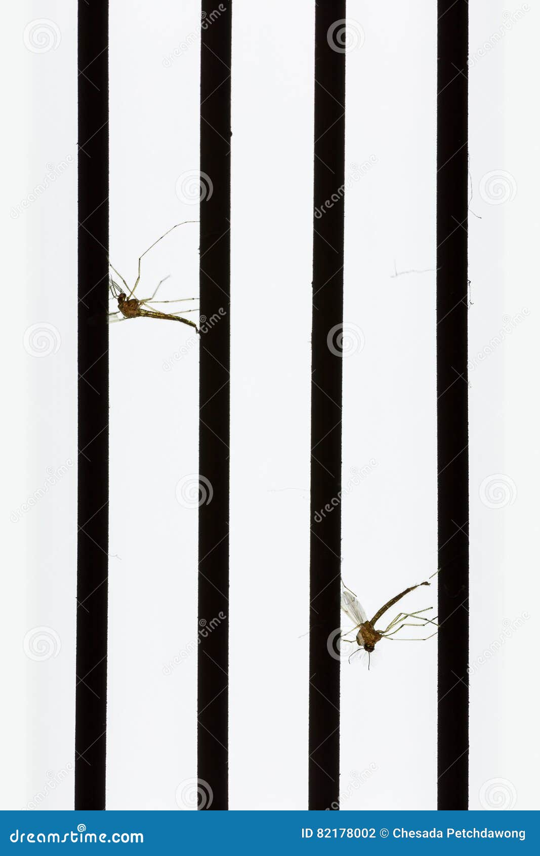 Mosquito Dead by Mosquito Killer. Stock Photo - Image of sparks ...