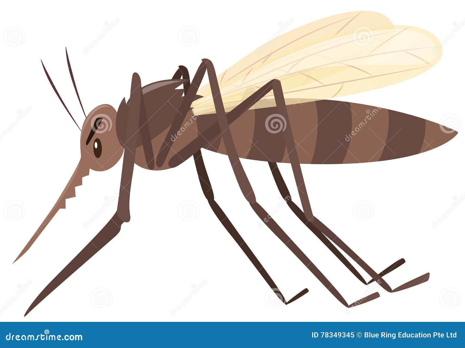 Mosquito Flying on White Background Stock Vector - Illustration of ... Mosquito Flying on White Background Stock Vector - Illustration of ...