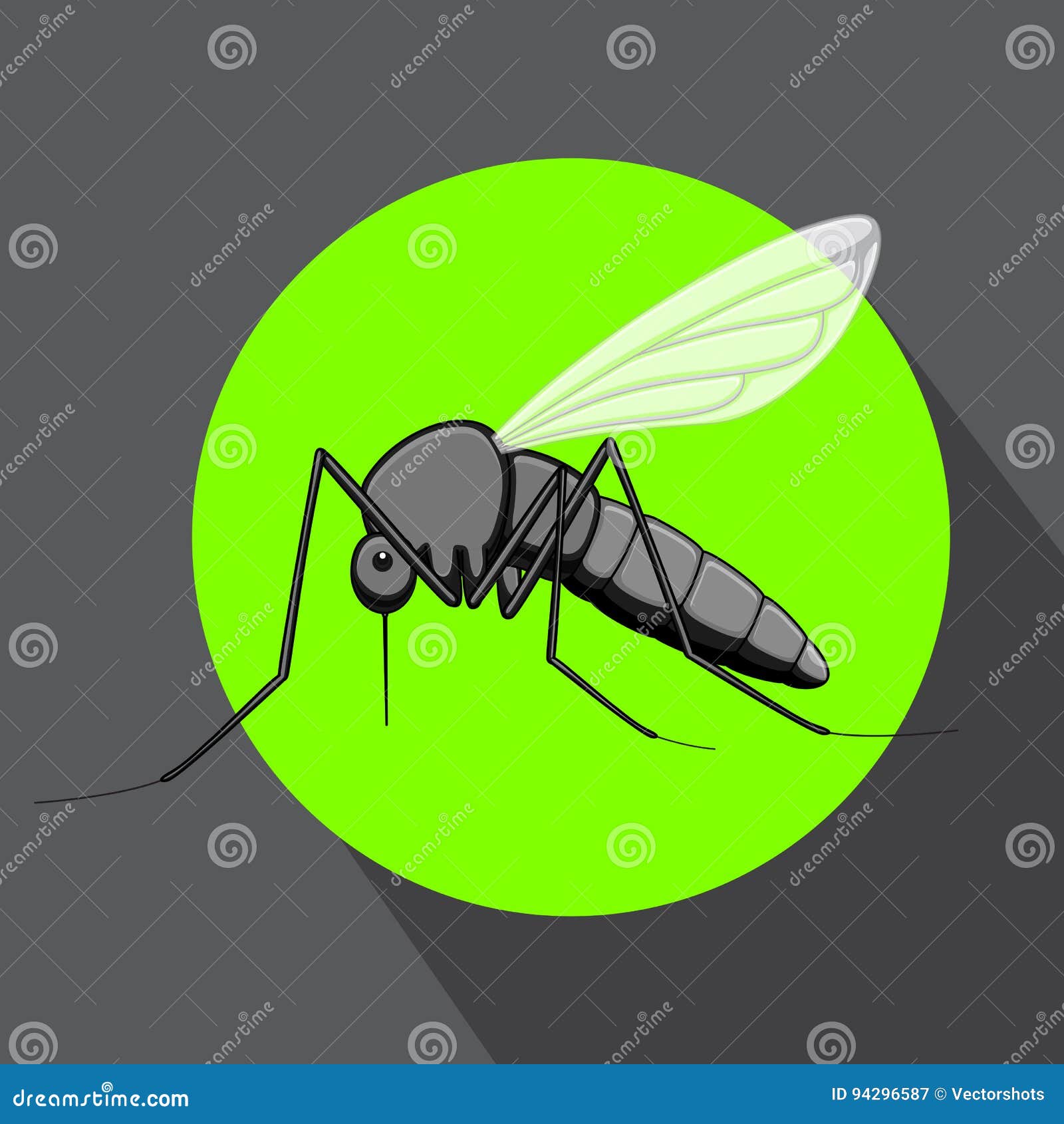 Mosquito Insect Cartoon Illustration | CartoonDealer.com #38931423